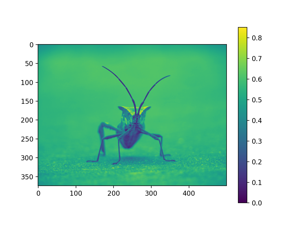 Tutorial De Imagenvisualización De Python Matplotlib