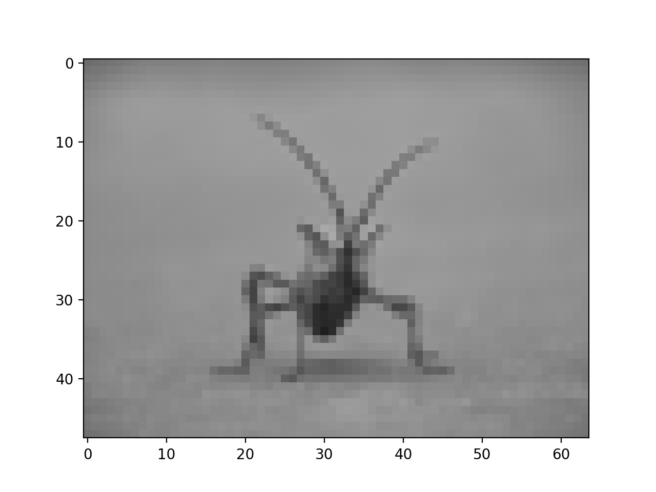 Tutorial De Imagenvisualización De Python Matplotlib 9961